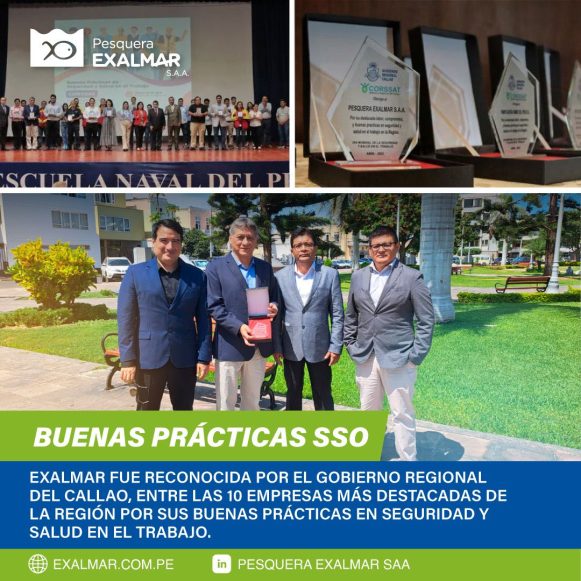 1683737869782e1689811200vbetatfFA-rmq0PTihpFynWT4lP3k101L6UqQfKLt_OXevvpk.jpeg - Exalmar